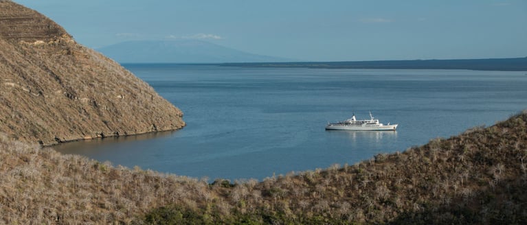 Tagus Cove: Penguins, Pirates & Snorkeling on Isabela